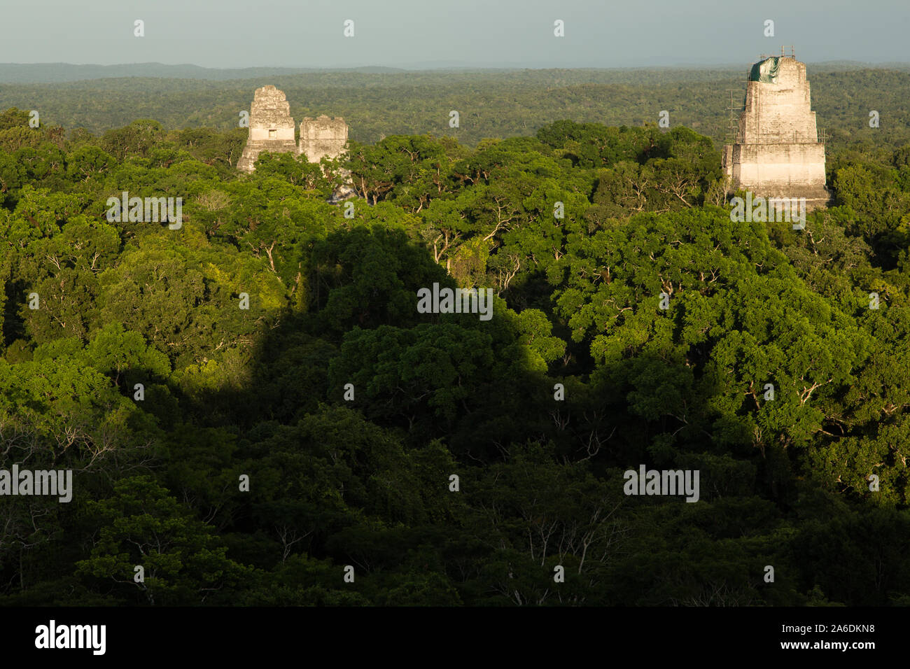 View at sunset of Temples I, II and III from Temple IV in the Mayan ...