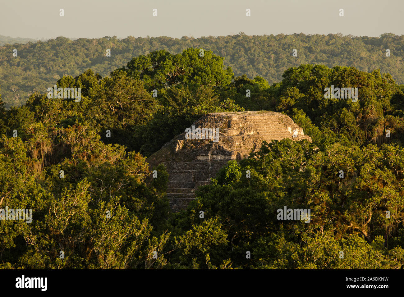 View at sunset of the Lost World Pyramid from Temple IV in the Mayan ...