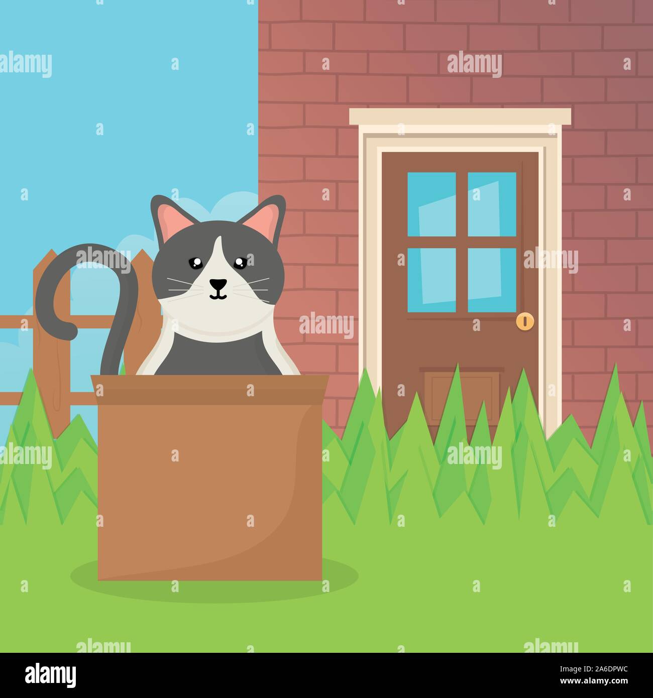 cat coming out cardboard box house garden pet care vector illustration ...