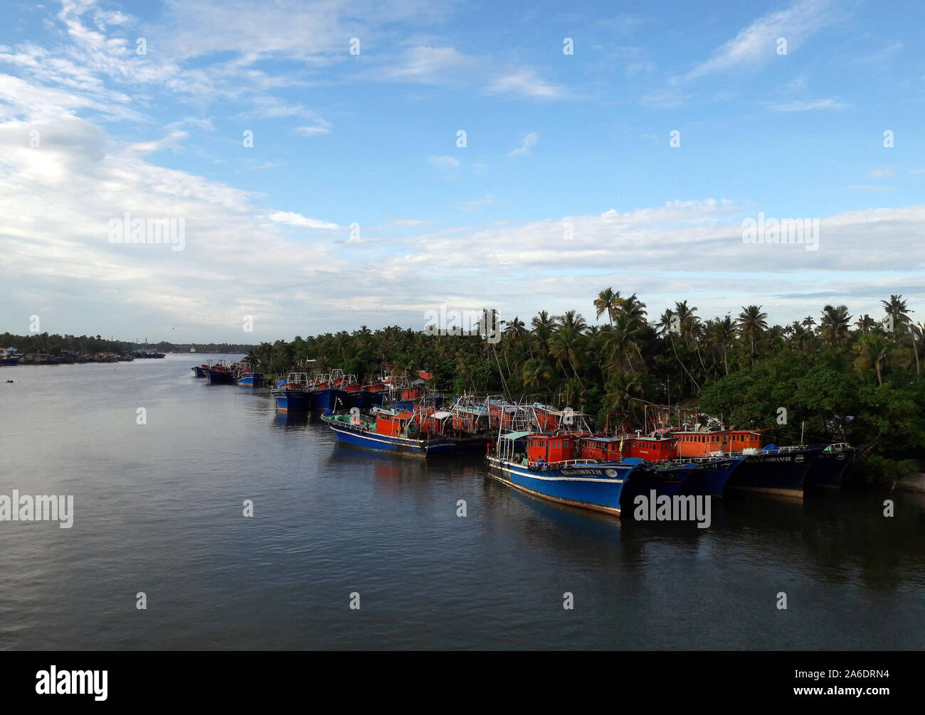 Kerala backwater fish hi-res stock photography and images - Alamy