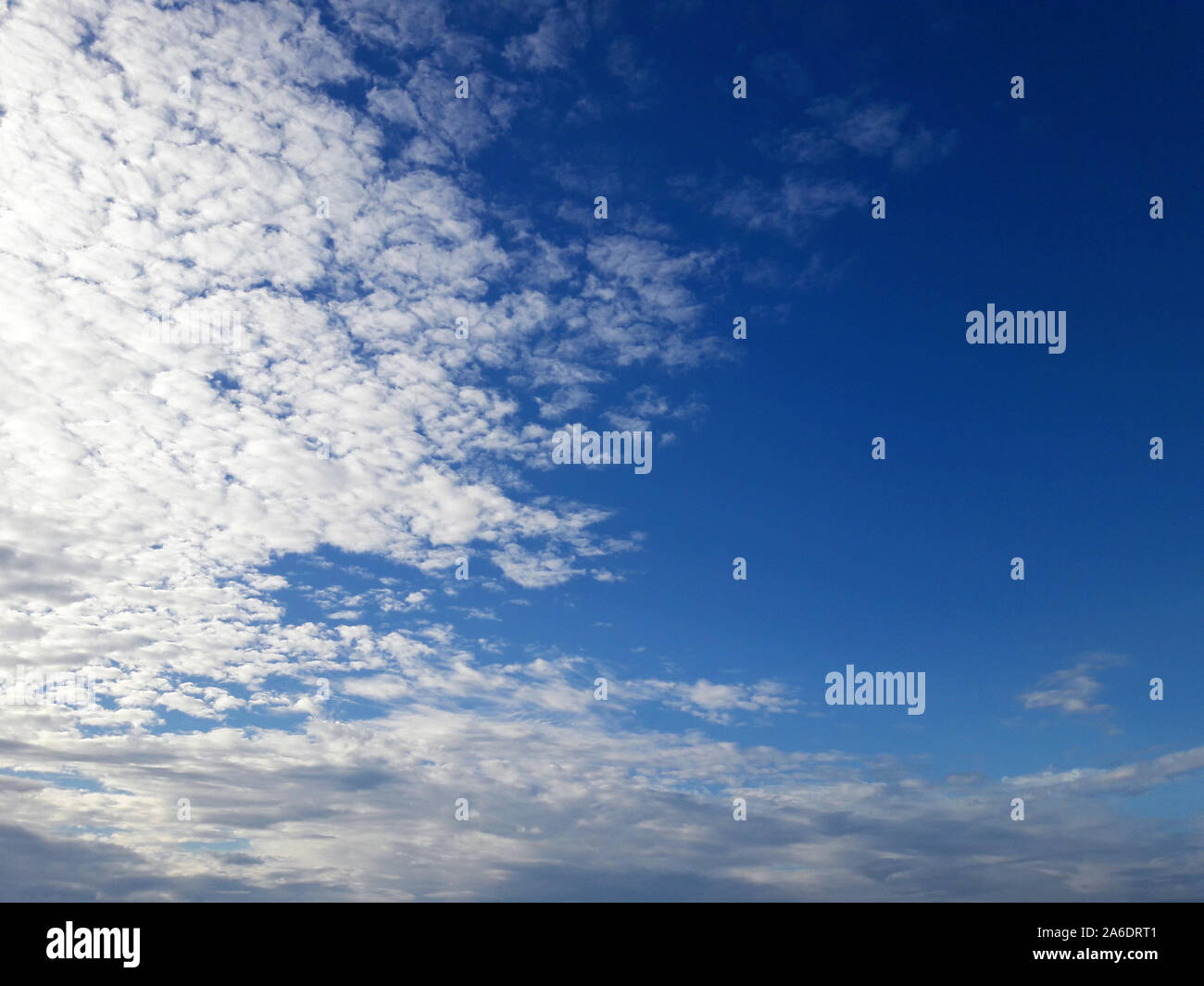 Kerala backwater fish hi-res stock photography and images - Alamy