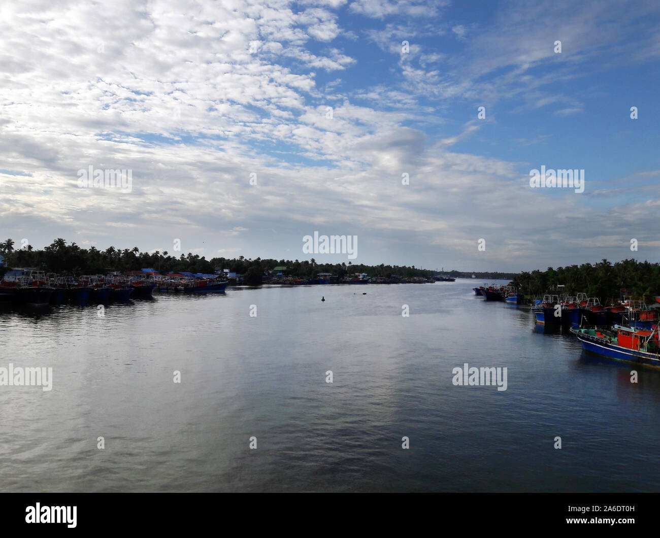 Kerala backwater fish hi-res stock photography and images - Alamy