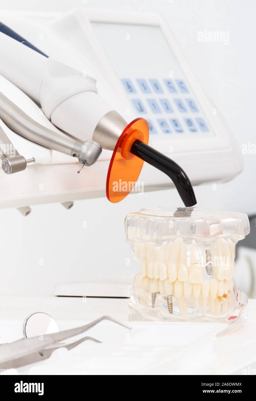 Dental jaw model, accessories, tools and instruments used by dentists ...