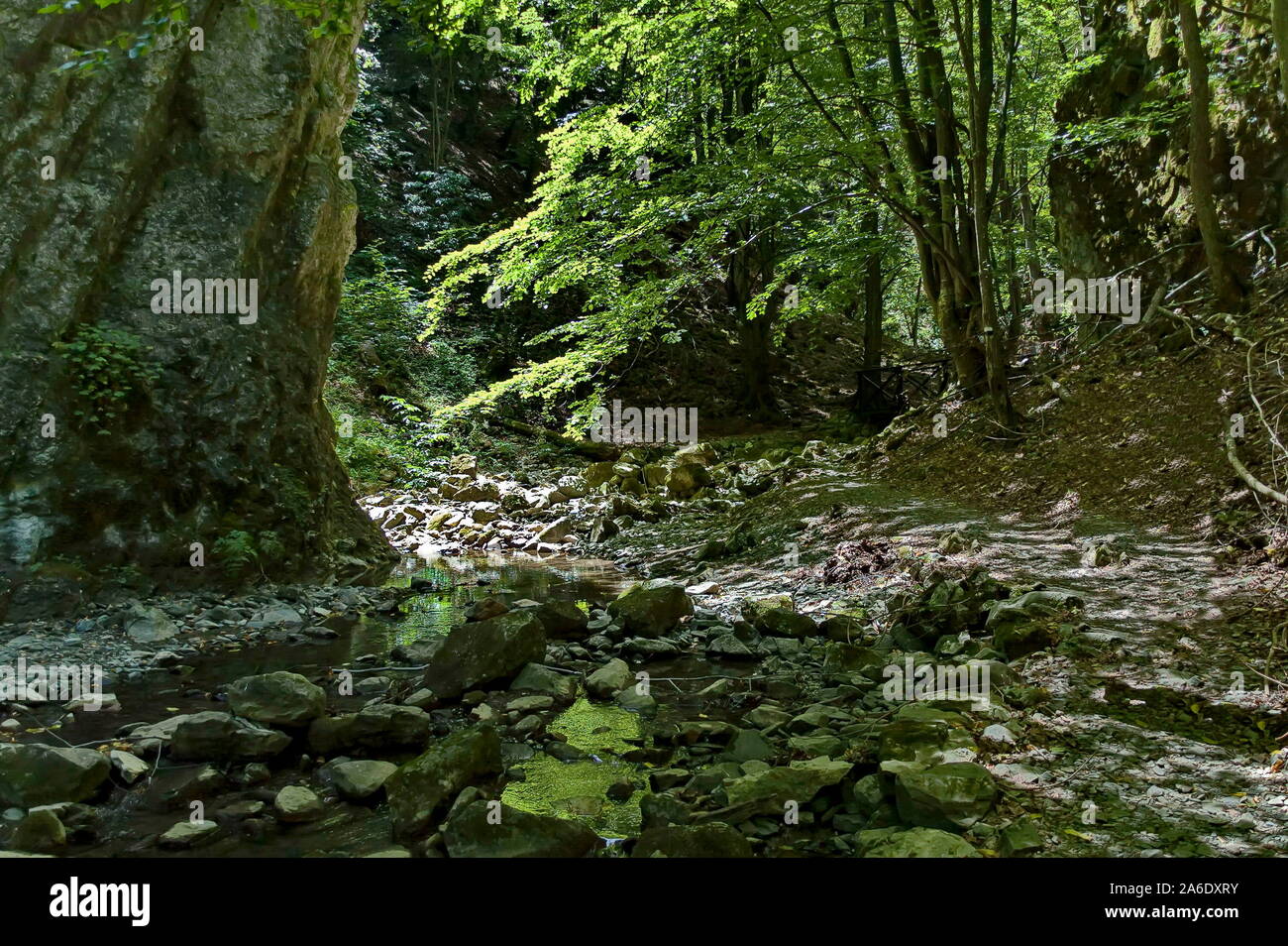 Summer walk through the maze of Teteven Balkan with high peaks, river ...
