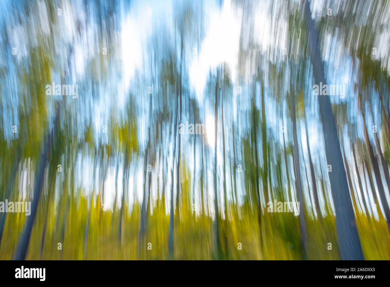 Blurred in motion background of nature Stock Photo - Alamy