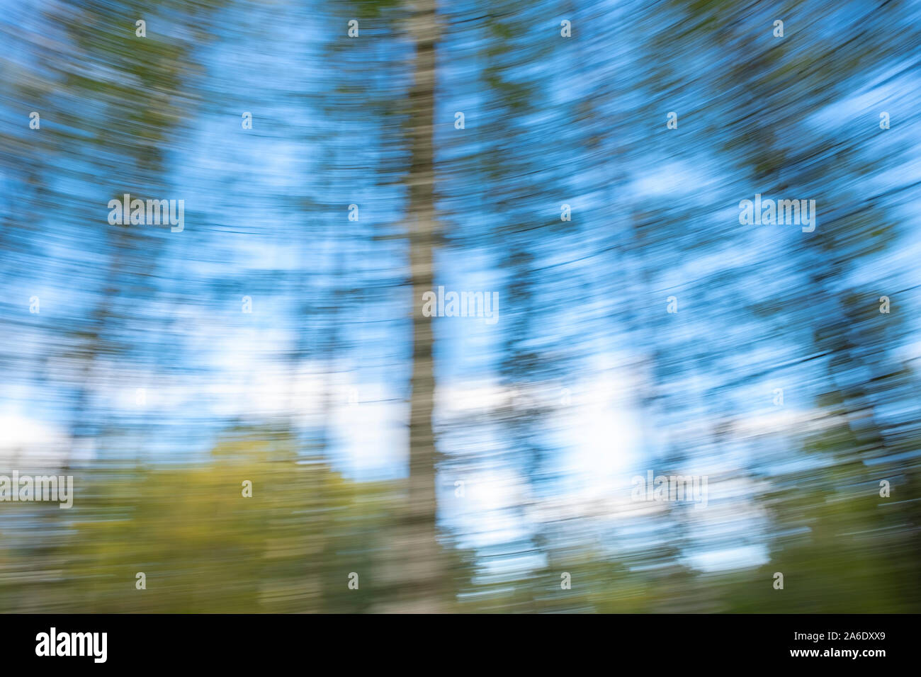 nature background in motion Stock Photo - Alamy