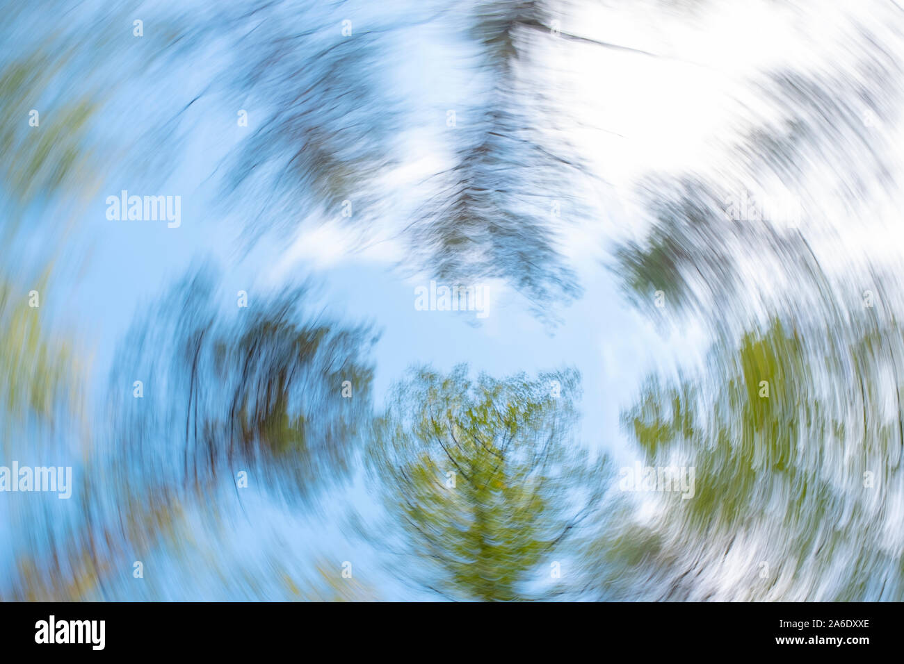 nature in a circular motion Stock Photo - Alamy