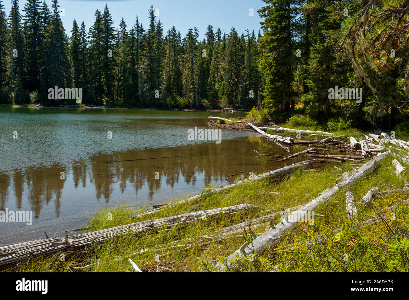 Si Lake is barely a 300-yard hike up Fish Lake Trail #717 in Oregon's ...