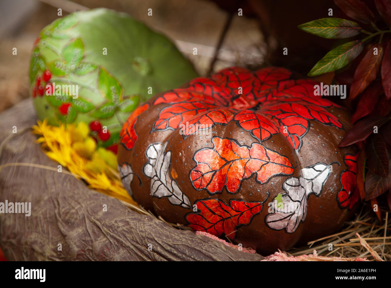 pumpkins in honor of the celebration of autumn and Halloween. festival ...