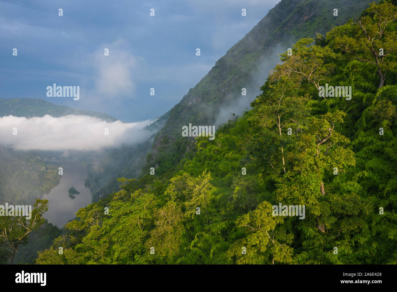 Aerial view of tropical rainforest. North Laos. Southeast Asia. Photo ...