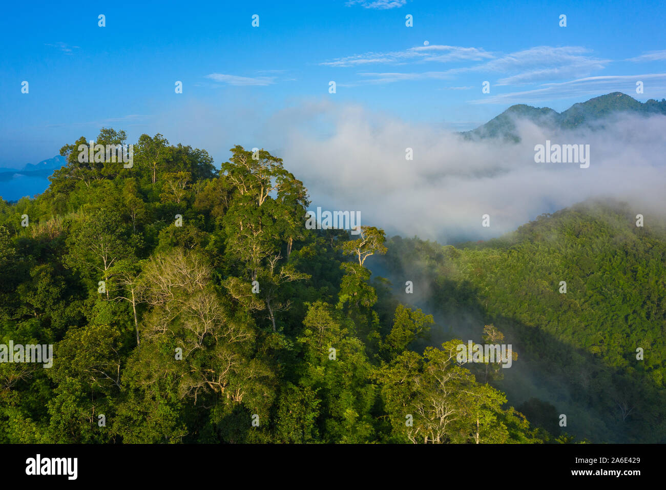 Aerial view of tropical rainforest. North Laos. Southeast Asia. Photo ...