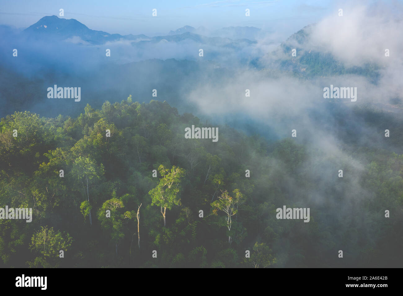 Aerial view of tropical rainforest. North Laos. Southeast Asia. Photo ...