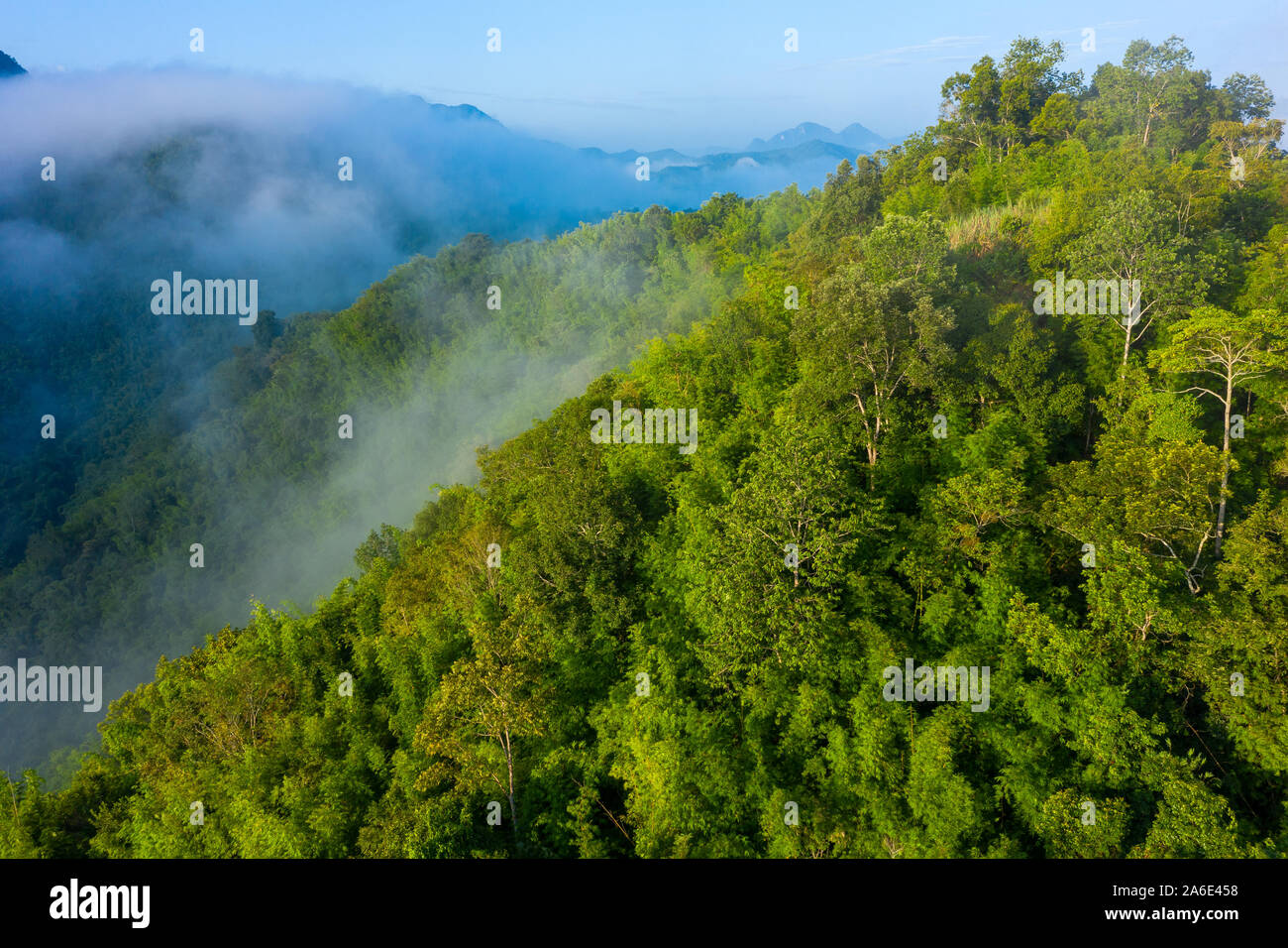 Vietnam jungle from above hi-res stock photography and images - Alamy