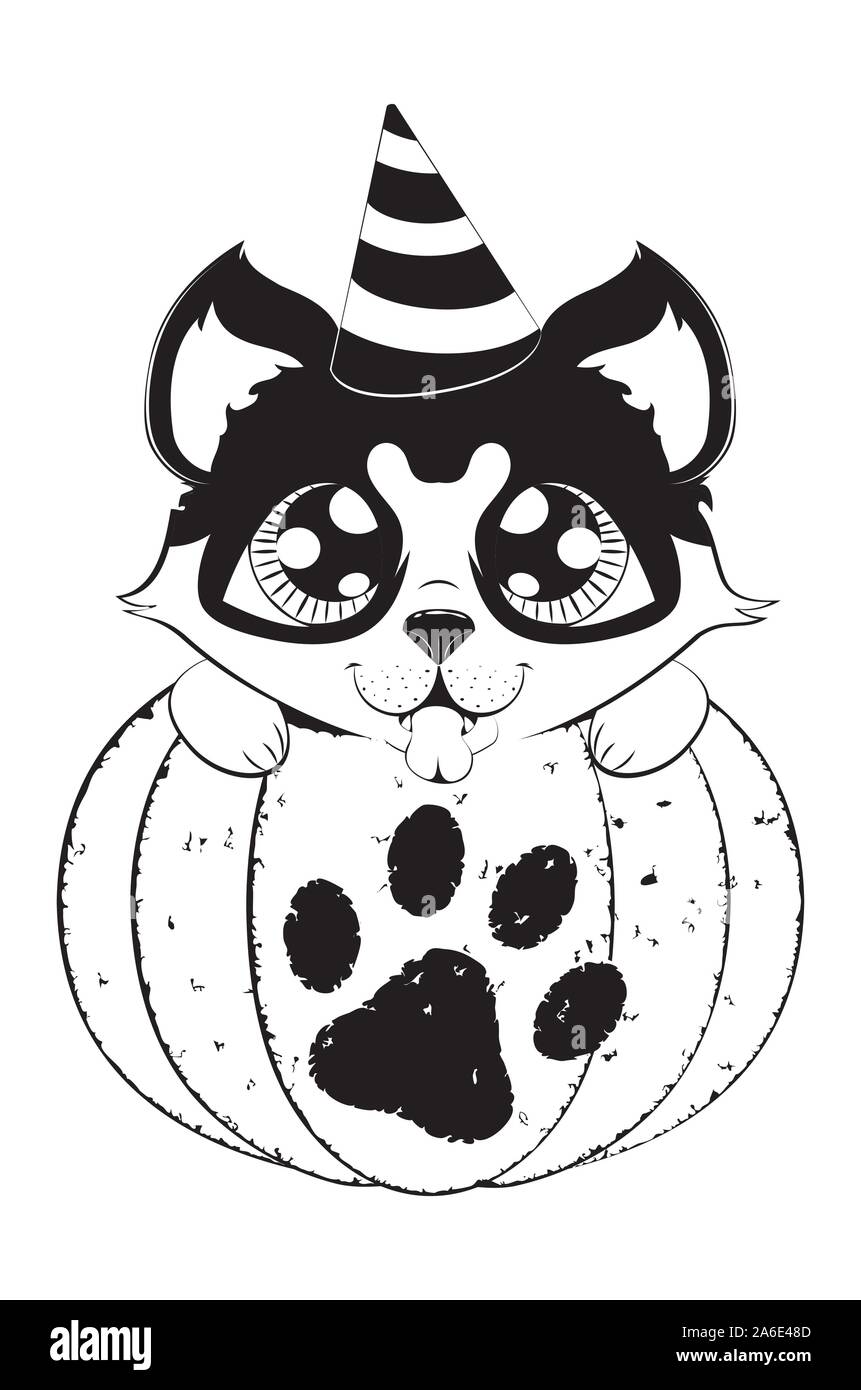 Cute dog pumpkin in Cut Out Stock Images & Pictures - Alamy