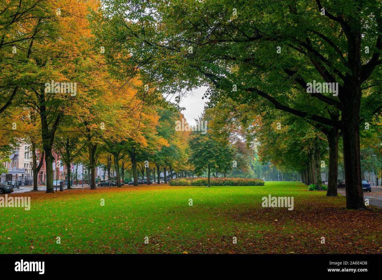 Rotterdam city park hi-res stock photography and images - Alamy