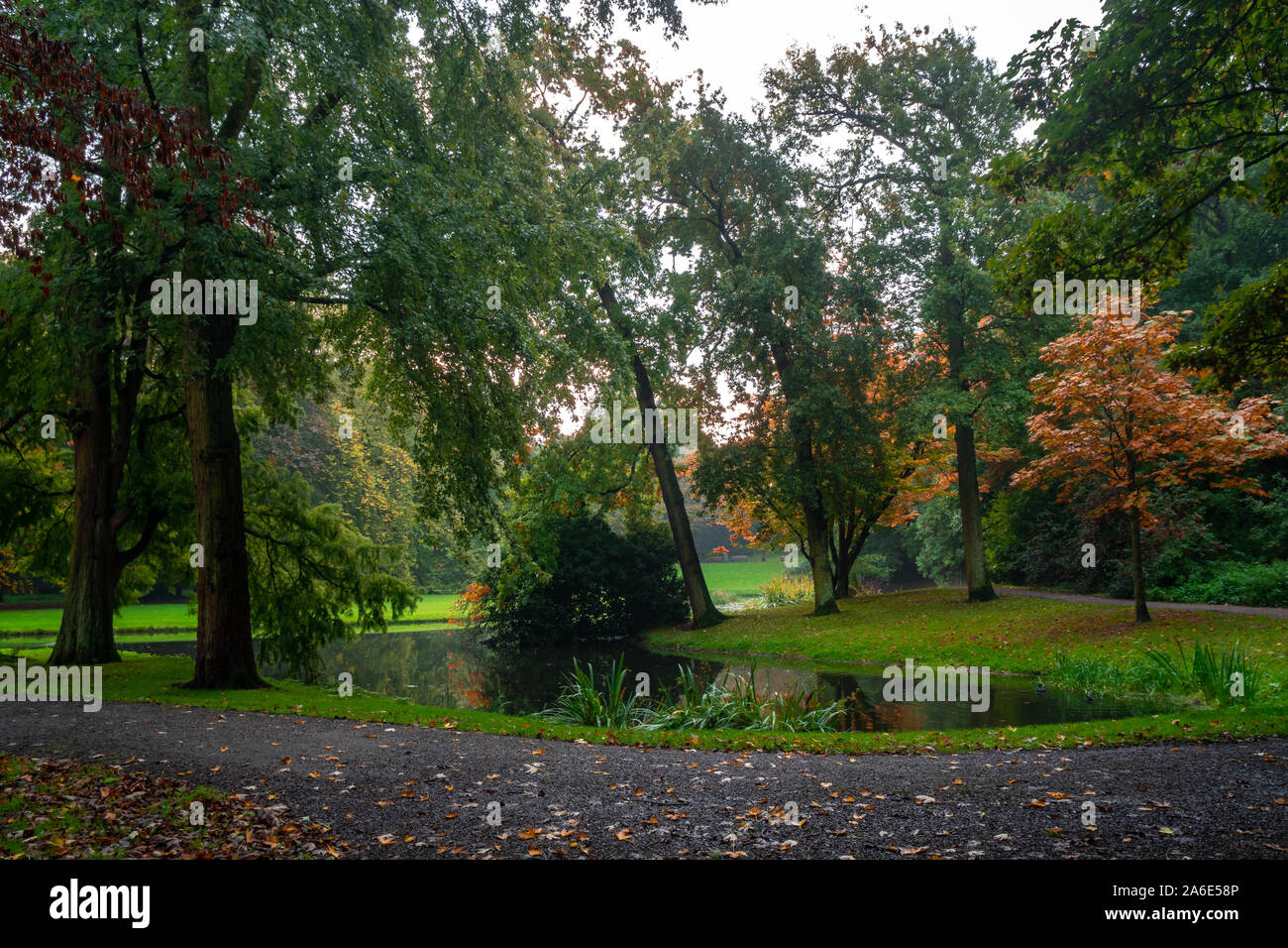 Beautiful autumn scene in Rotterdam city park, Netherlands. Landscape ...