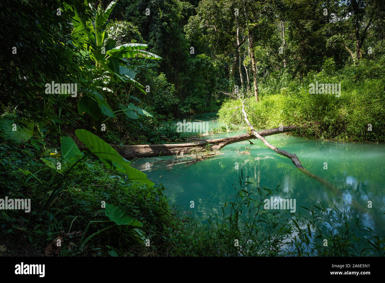 Tad Sae Waterfall in Luang prabang province, Laos Stock Photo - Alamy