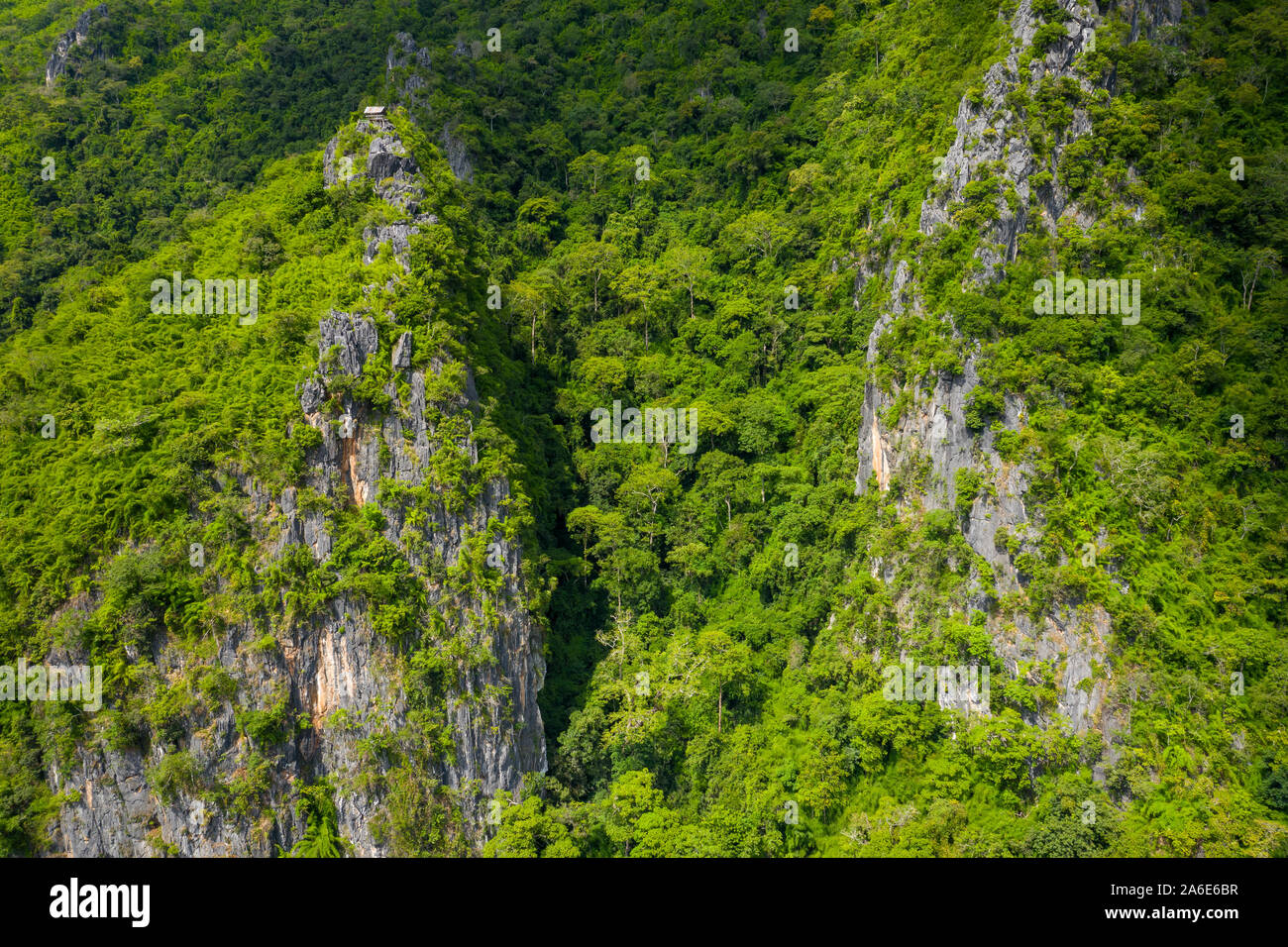 Aerial view of tropical rainforest. North Laos. Southeast Asia. Photo ...