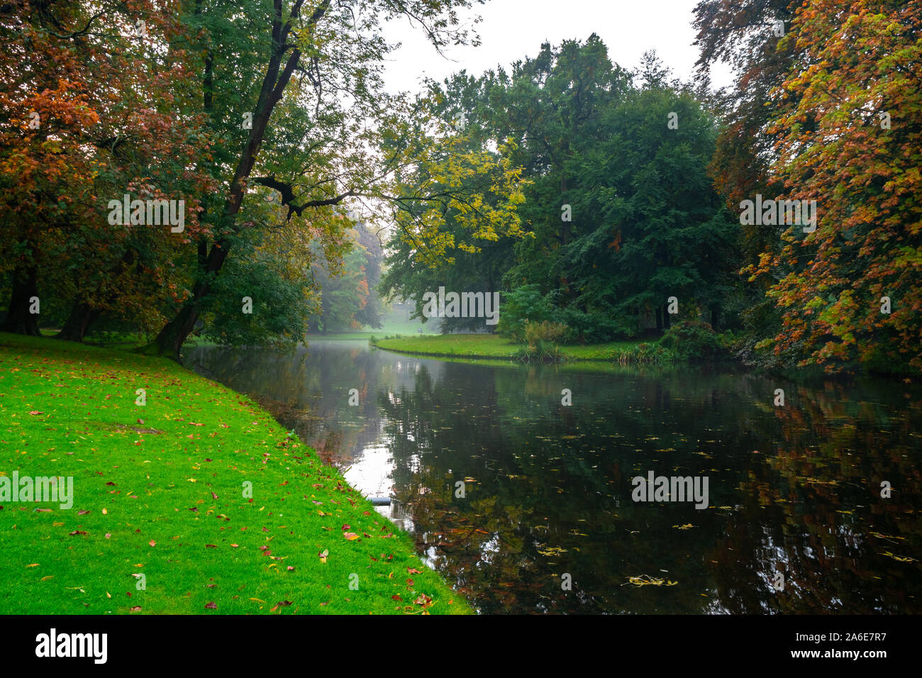 City park, trees reflection on the pond water, autumn. Rotterdam ...