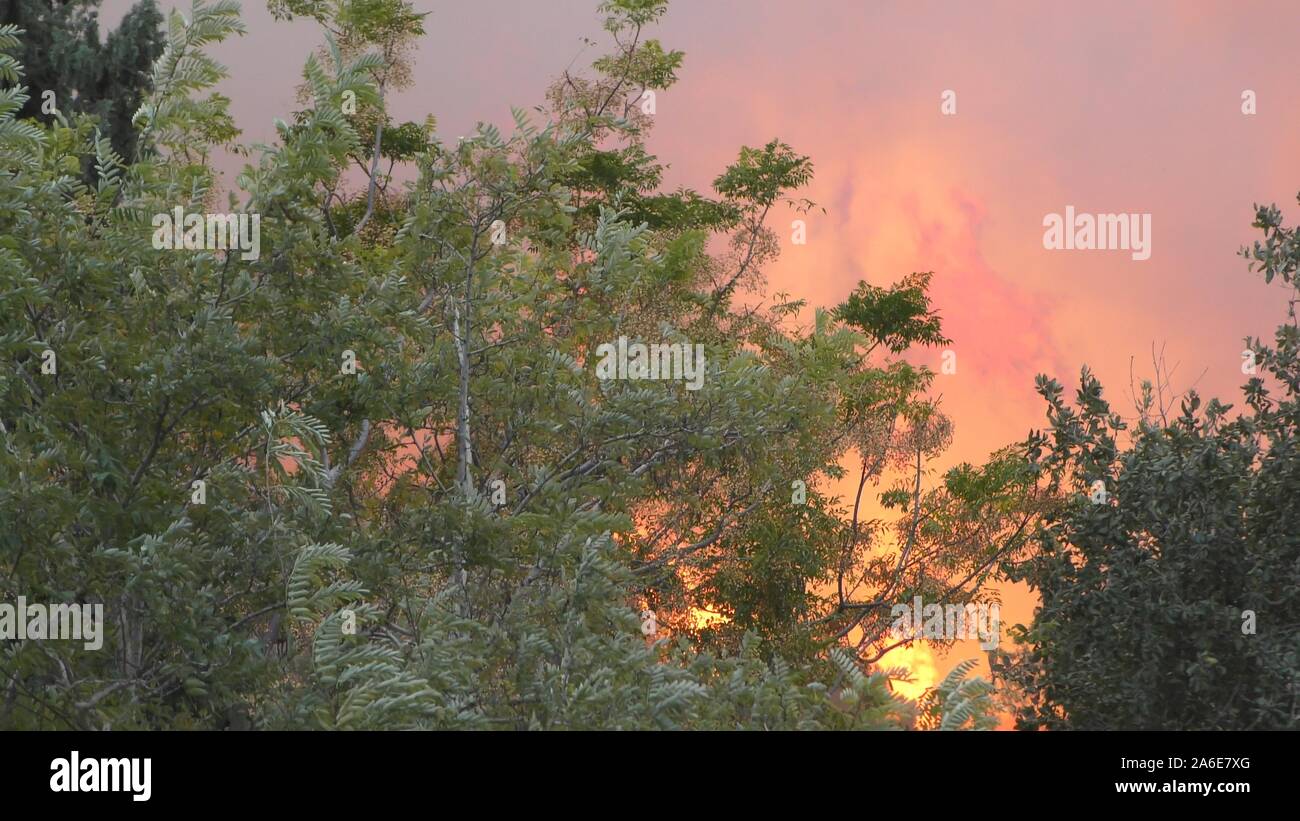 Trees catch fire near houses and residential buildings. Firefighters ...