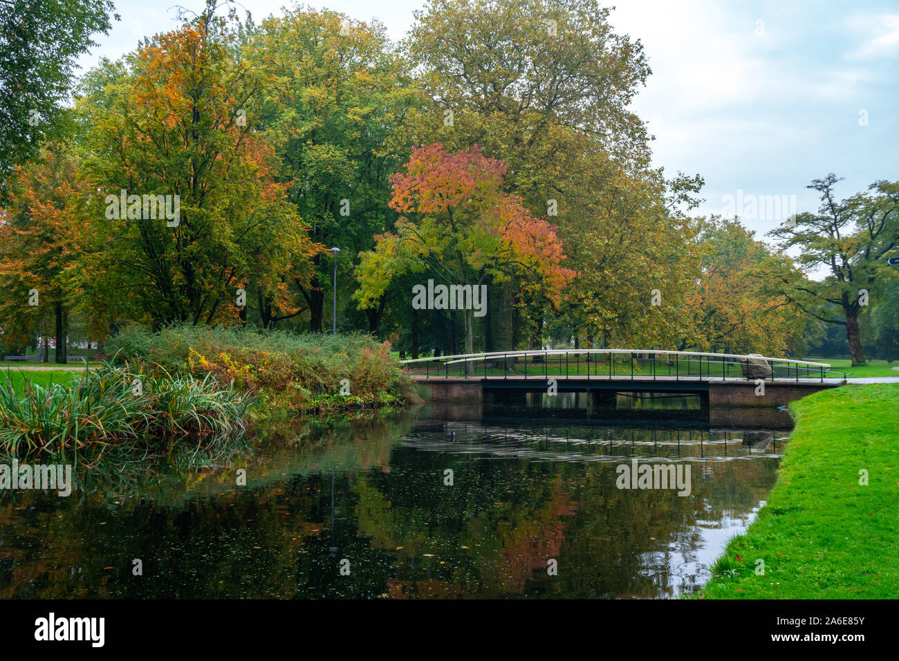 City park, trees reflection on the pond water, autumn. Rotterdam ...