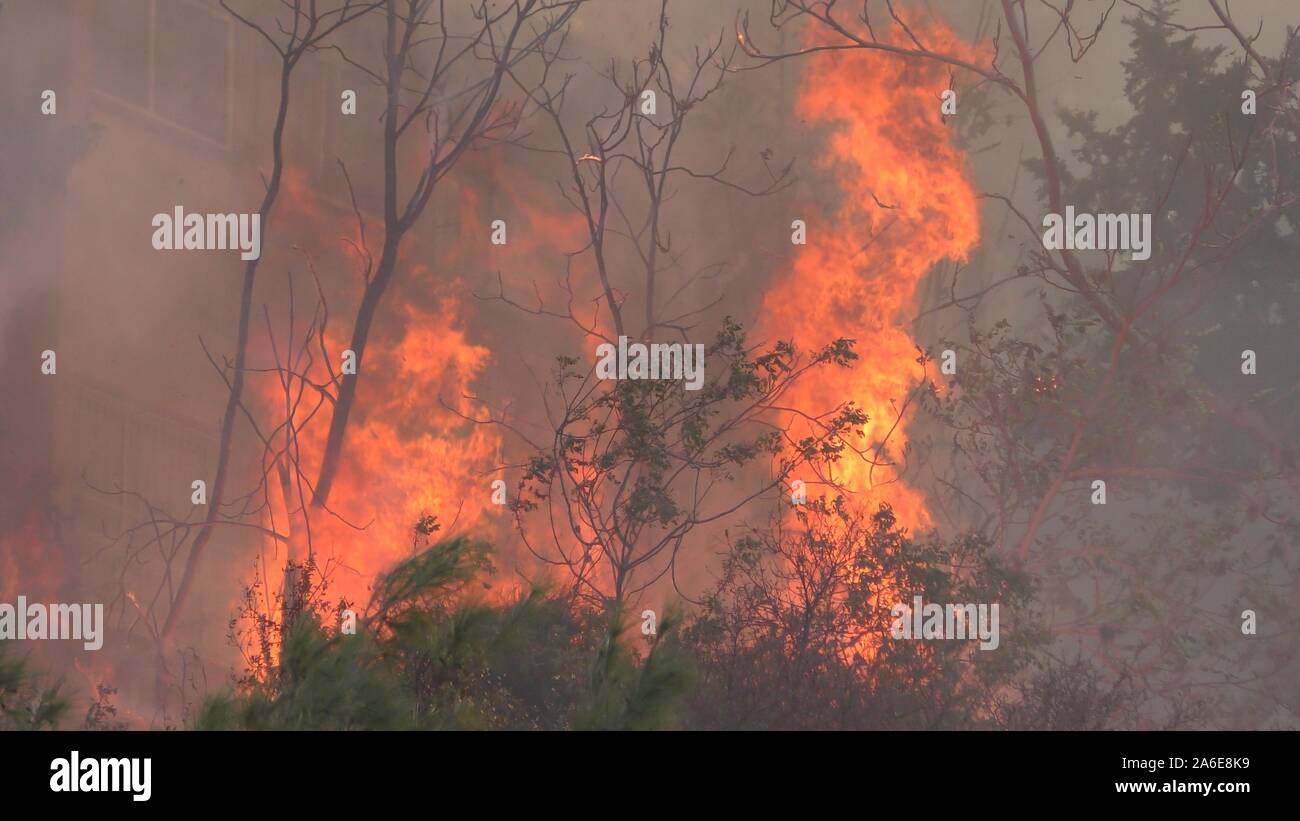 Trees and brush catch fire with huge flames and burn violently Stock ...