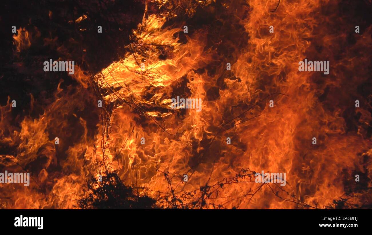 Trees and brush catch fire with huge flames and burn violently Stock ...