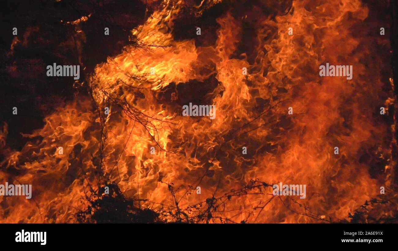 Trees and brush catch fire with huge flames and burn violently Stock ...
