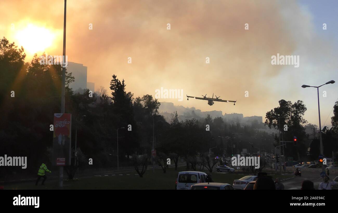 Fire retardant tree hi-res stock photography and images - Alamy