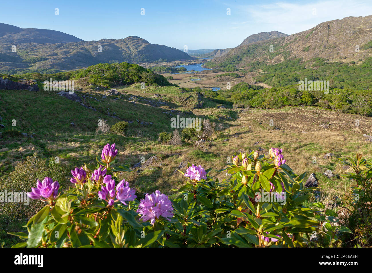 A panoramic view of Killarney National Park from Ladies´ View, Republic ...