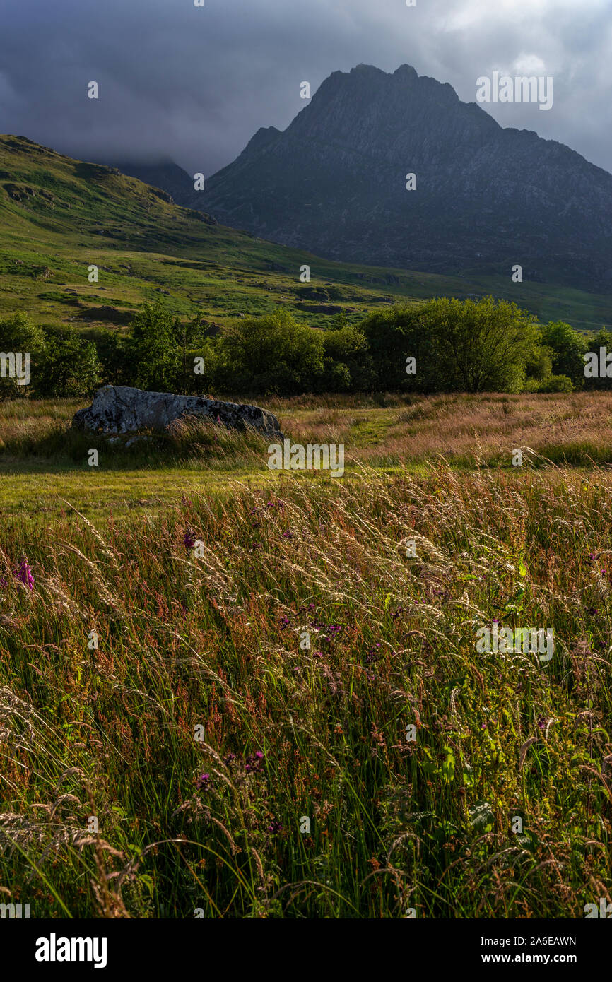 Tryfan mountain in the Glyderau range, Snowdonia, North Wales Stock ...