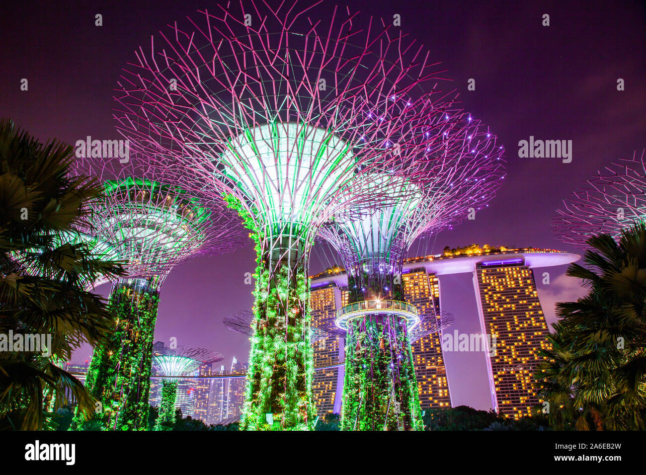 SINGAPORE, SINGAPORE - MARCH 2019: Supertrees illuminated for light ...