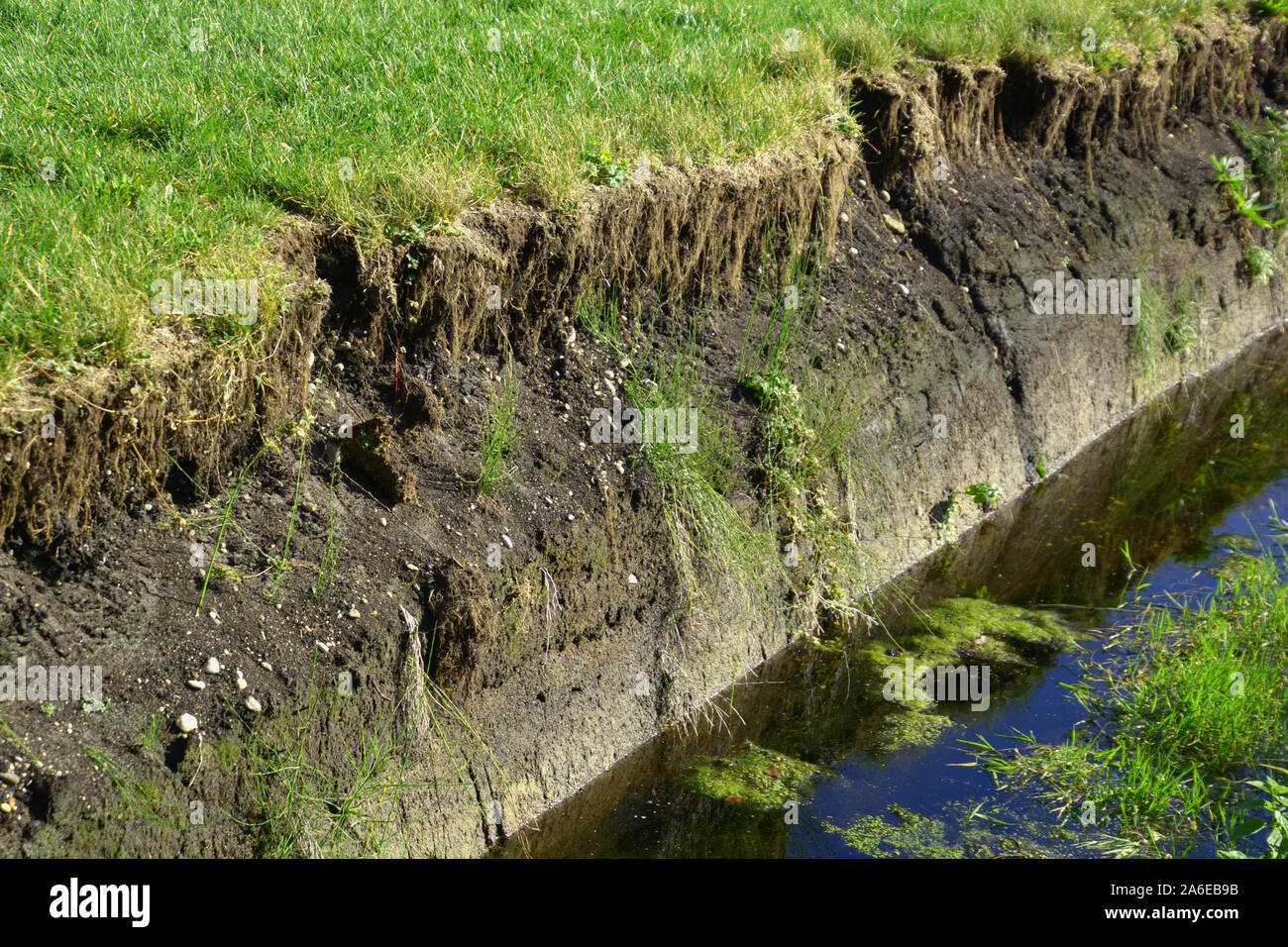 Humus Layer High Resolution Stock Photography and Images - Alamy