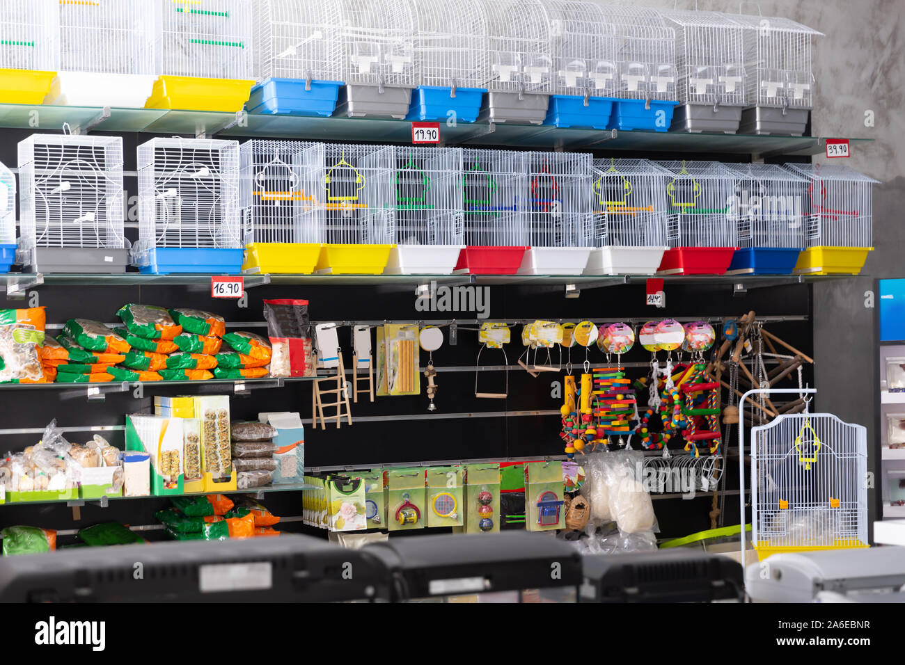 Image of different variation of goods for animals in pet shop Stock ...