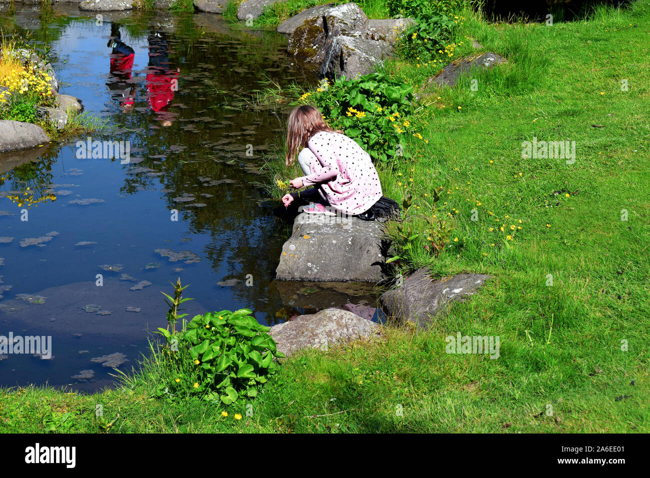 Little girl playing near a pond in Laugardalur Park in Reykjavik ...