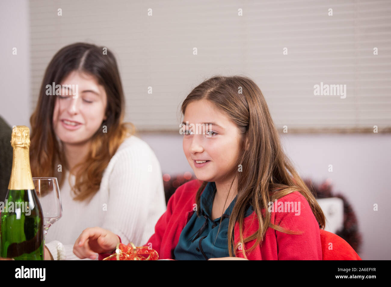 Portrait of cheerful little girl with her cousin at christmas feast ...