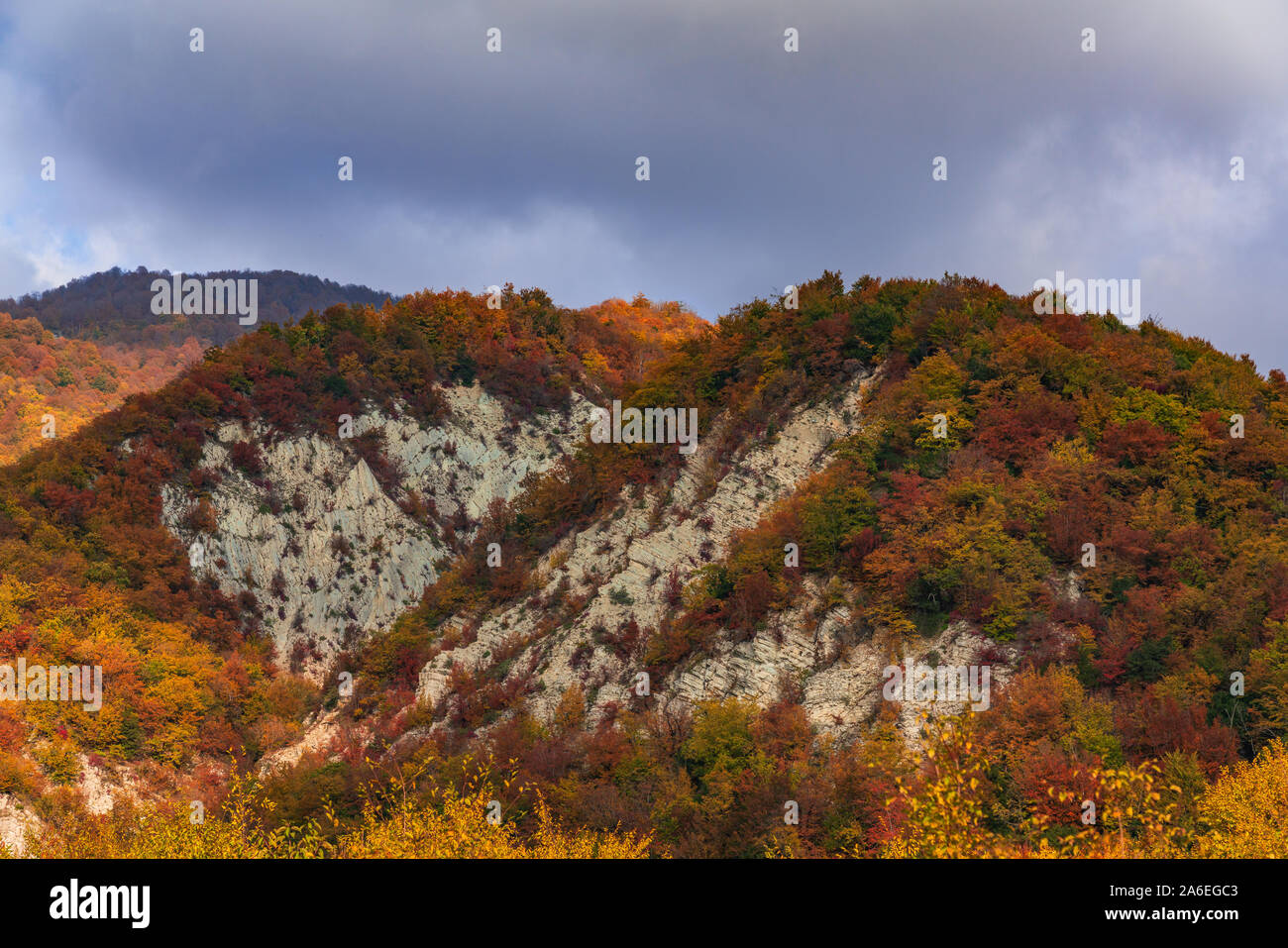 Colorful mountain forest yellow hi-res stock photography and images - Alamy