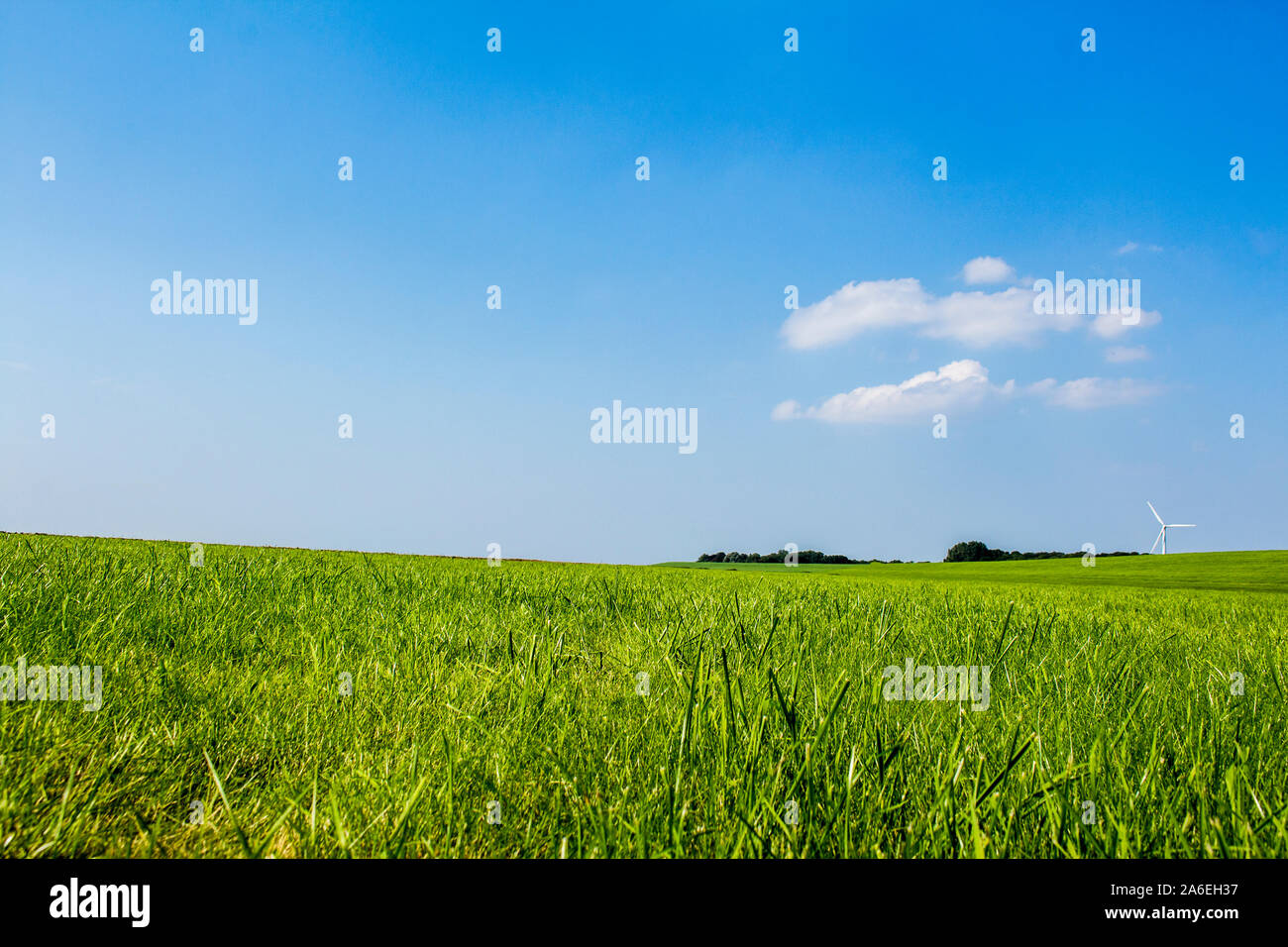 Blue sky, green grass, dike landscape in the north of Germany Stock ...