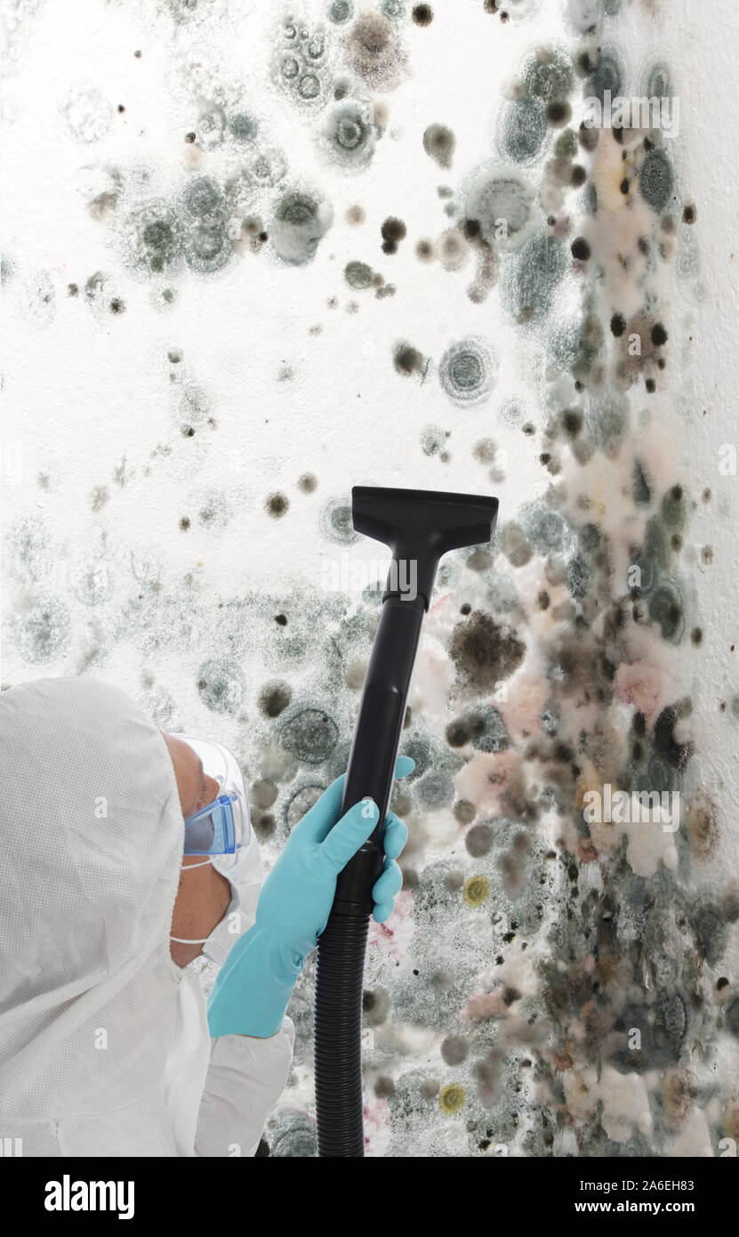 Mold wall hi-res stock photography and images - Alamy