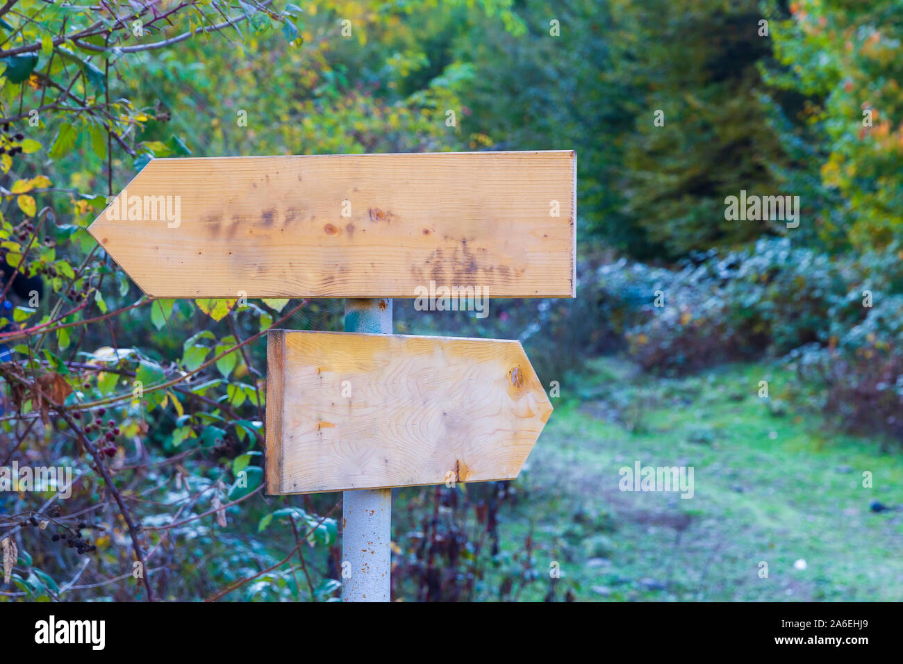 Wooden arrow direction signs in the forest on a pillar Stock Photo - Alamy