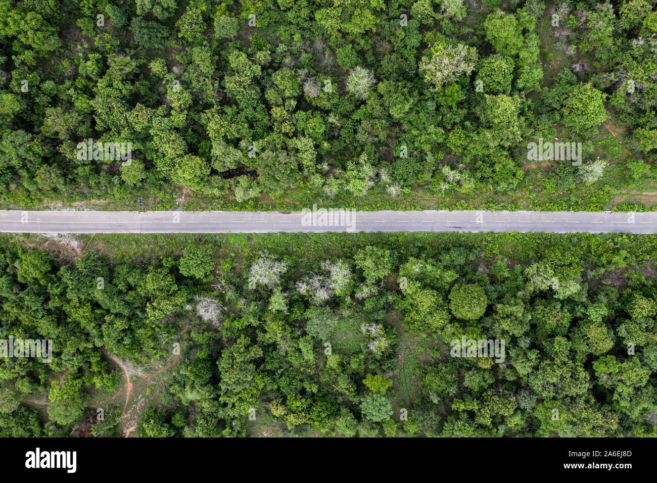 Top view Scenery of straight asphalt road in tropical rainforest Stock ...