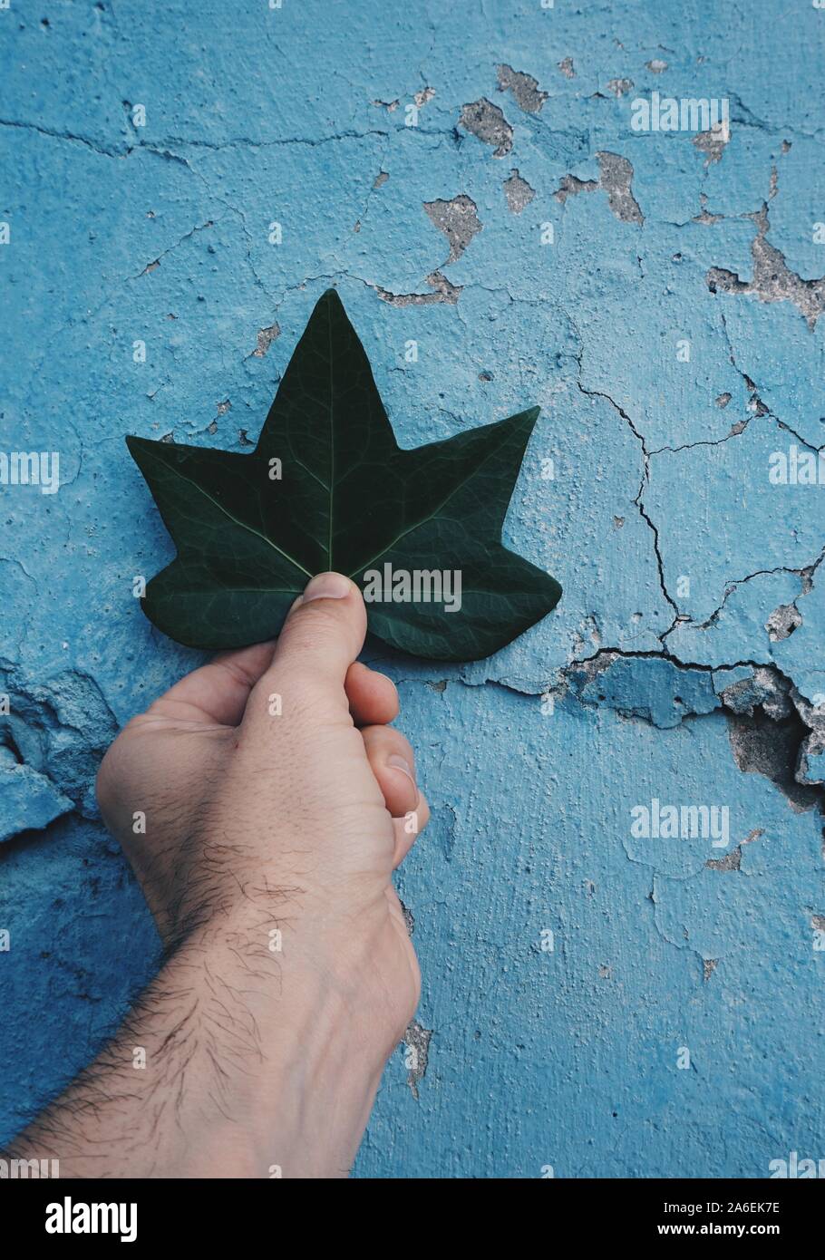 Hand green hi-res stock photography and images - Alamy