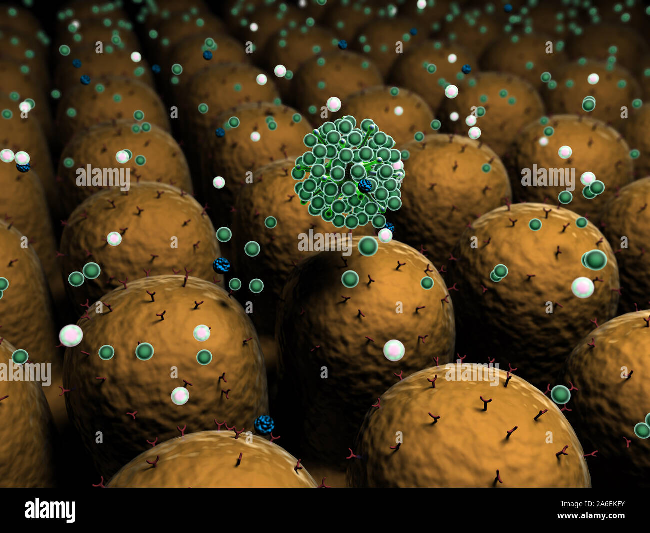 field of cells with receptors, Human Immune System attack the virus ...