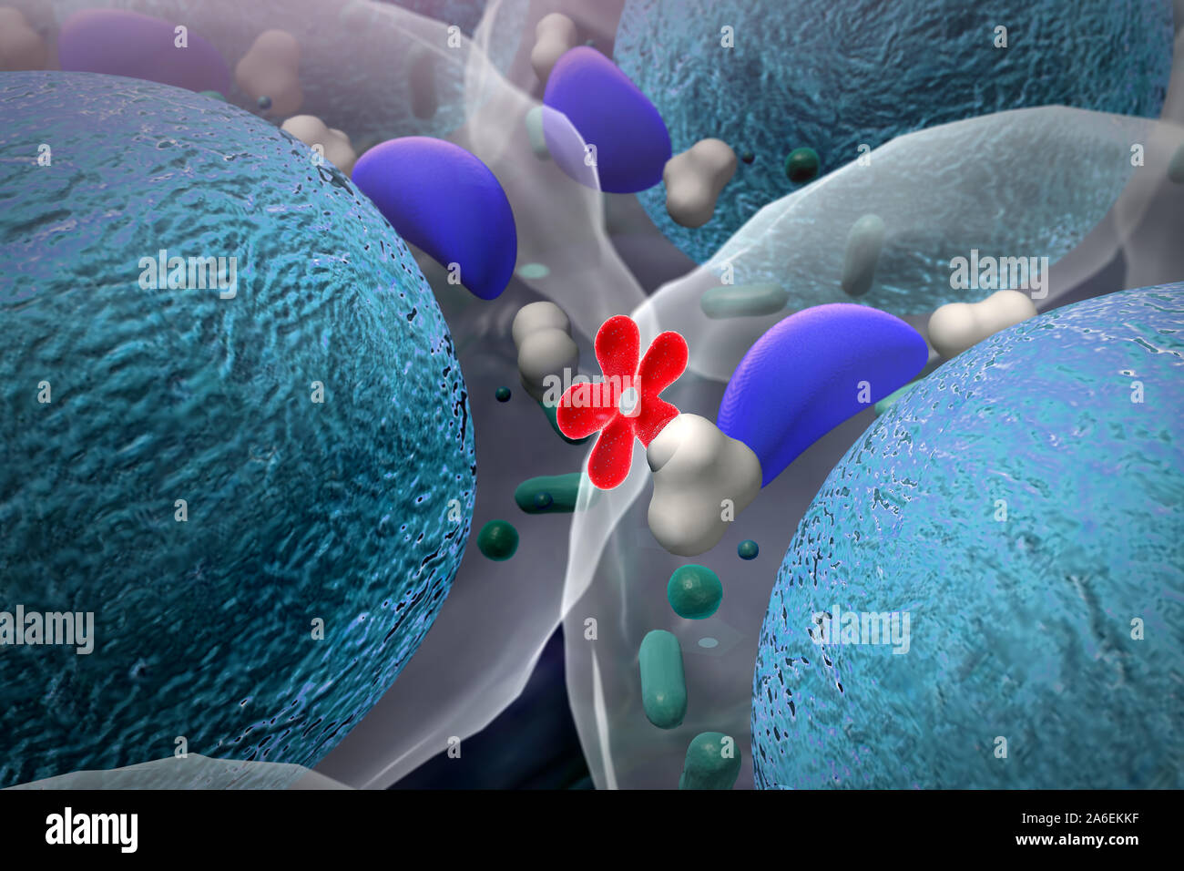 Human insulin molecule hormone hi-res stock photography and images - Alamy