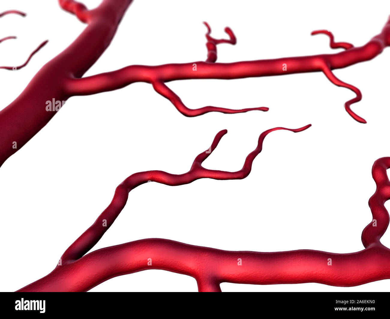 3D illustration of Capillary and cells, vein and Capillary Stock Photo ...