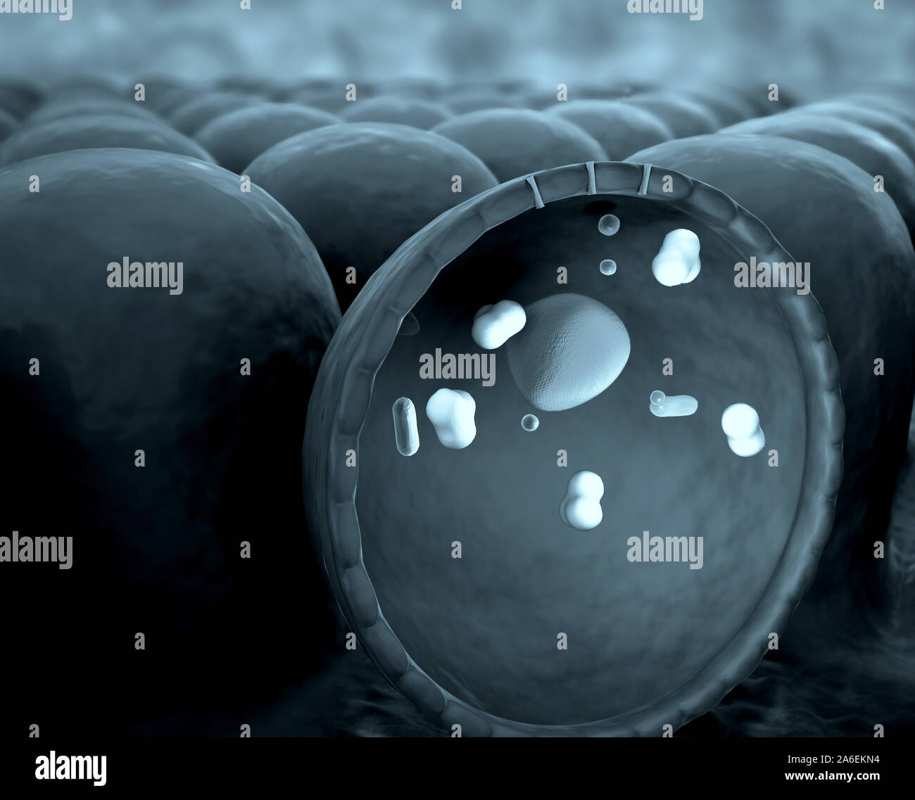 mechanism of action of hormones, Human Insulin, 3D illustration of ...