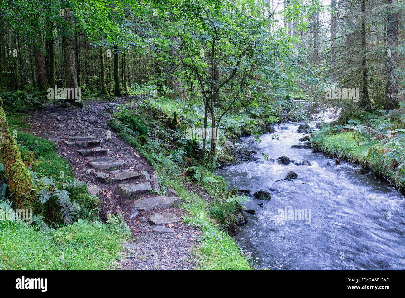 Scottish steps hi-res stock photography and images - Alamy
