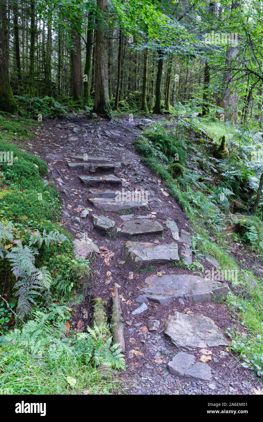 Stone steps on the Kennick Burn, Dumfries and Galloway, Scotland Stock ...