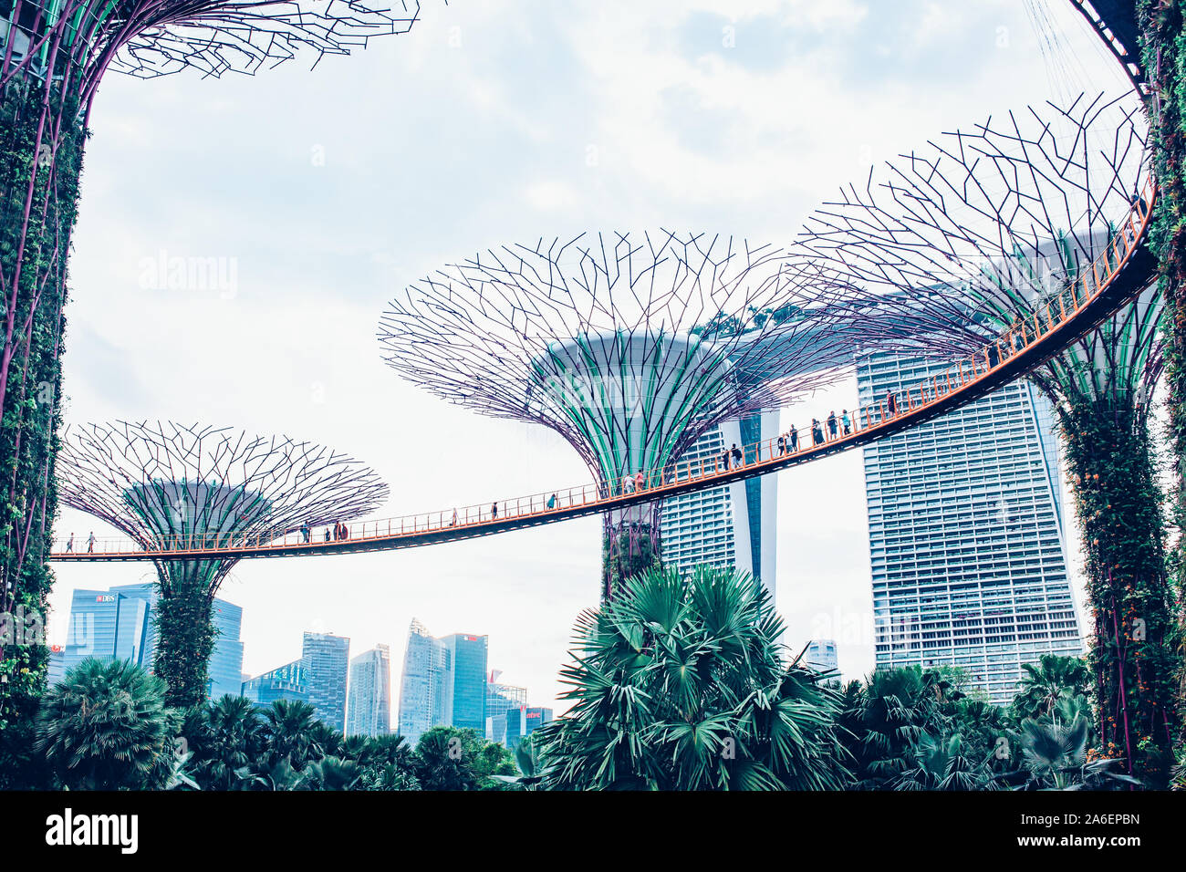 SINGAPORE, SINGAPORE - MARCH 2019: Supertree Grove & OCBC Skyway at Garden by the Bay Stock ...