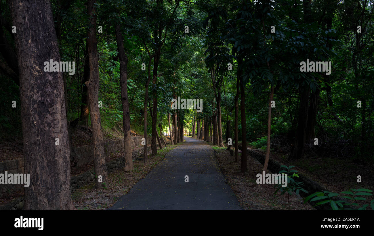 Chengqing lake hi-res stock photography and images - Alamy